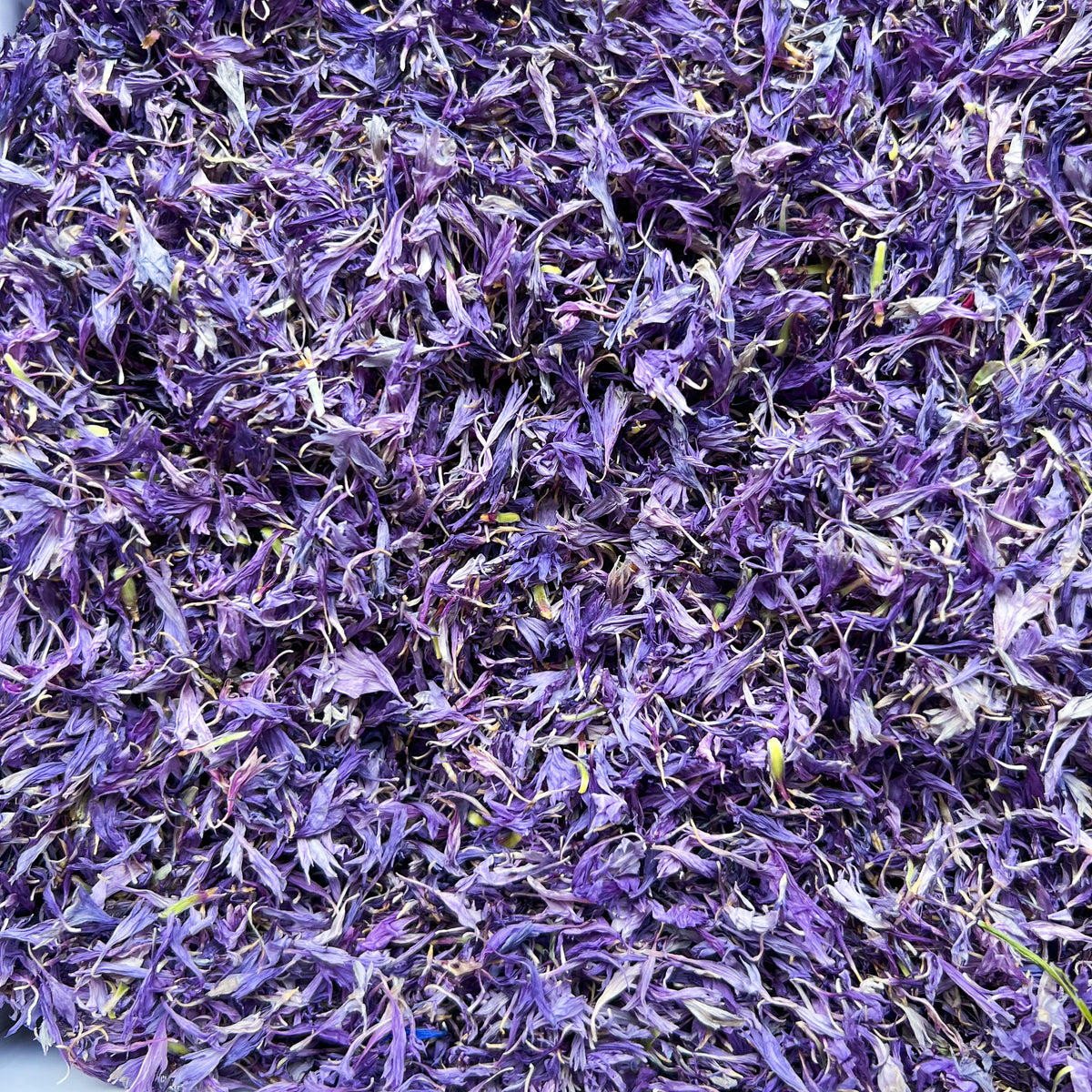 Lilac – Bubble and Berry